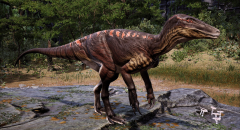 Megaraptor - Beasts of Bermuda