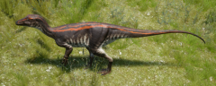 Megaraptor - Beasts of Bermuda